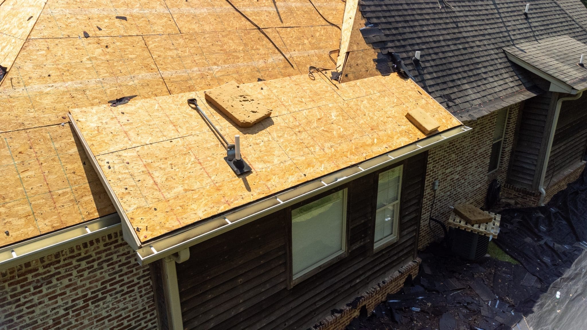 Common Locations of Mold on Your Roofing Structure